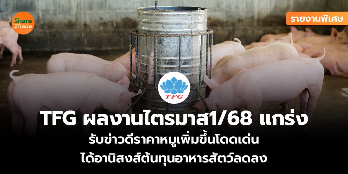 รายงานพิเศษ : TFG ผลงานไตรมาส 1/68 แกร่ง รับข่าวดีราคาหมูเพิ่มขึ้นโดดเด่น ได้อานิสงส์ต้นทุนอาหาร ...